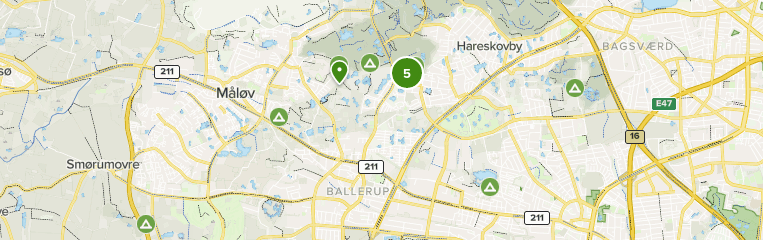 2023 Best Forest Trails in Ballerup | AllTrails