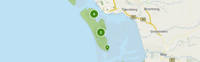 Best Beach Trails in Fanø | AllTrails