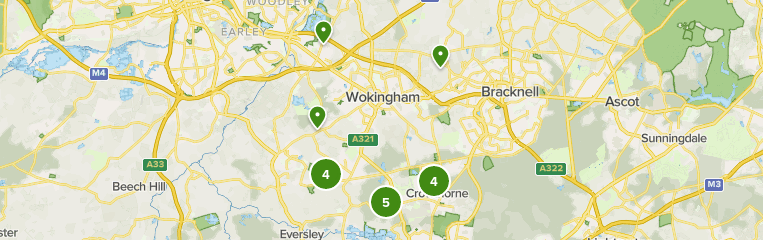 2023 Best Forest Trails in Wokingham | AllTrails