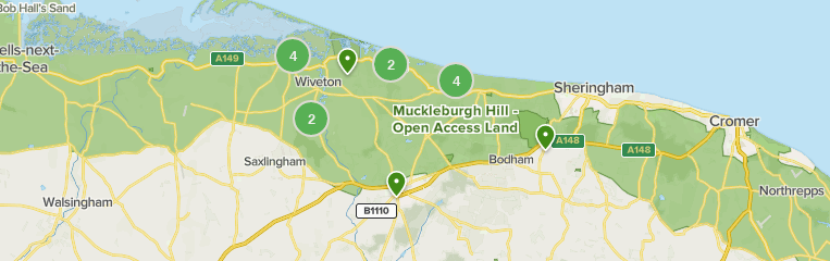 10 Best Walking Trails in Holt | AllTrails