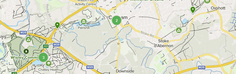 2023 Best Forest Trails in Cobham | AllTrails