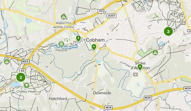 Best Walking Trails near Cobham, Surrey England | AllTrails