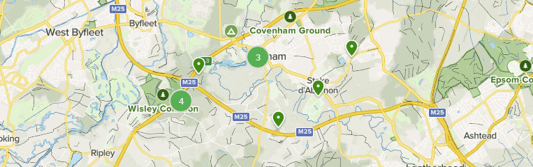 2023 Best 10 Walking Trails in Cobham | AllTrails