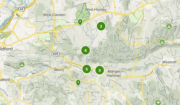 Best Walking Trails near Shere, Surrey England | AllTrails