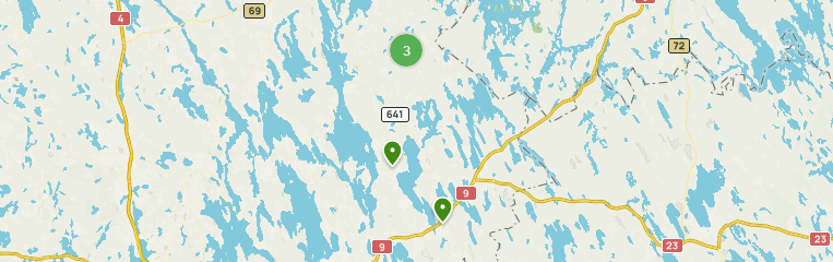 Best Forest Trails in Hankasalmi | AllTrails