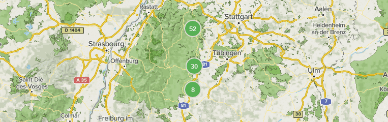 Best Forest Trails in Schömberg | AllTrails