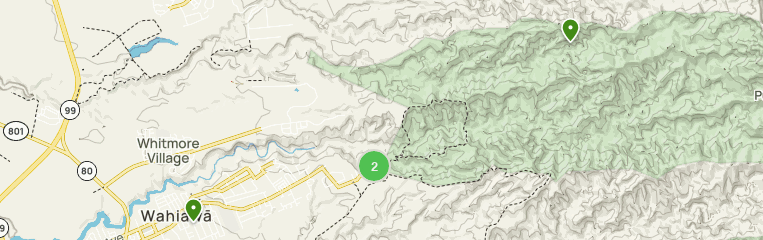 Best Forest Trails in Wahiawa | AllTrails