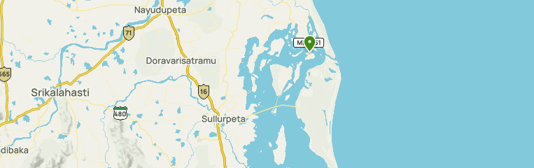 2023 Best Walking Trails in Sullurpeta | AllTrails