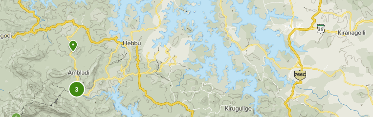 2023 Best Wild Flowers Trails in Hosanagara | AllTrails