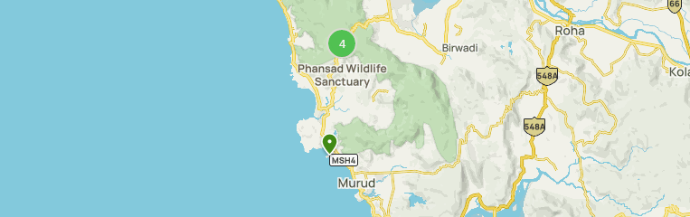 Best Forest Trails in Murud | AllTrails