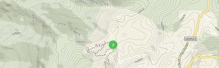 Best River Trails in Yercaud | AllTrails