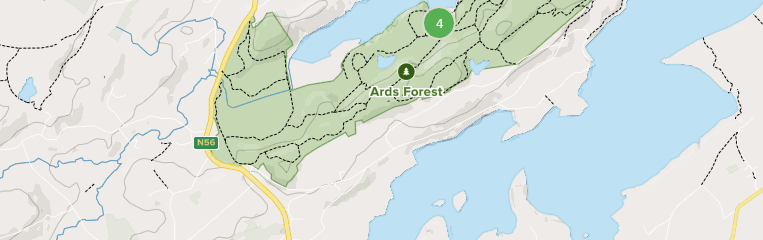 Best Forest Trails in Ards | AllTrails