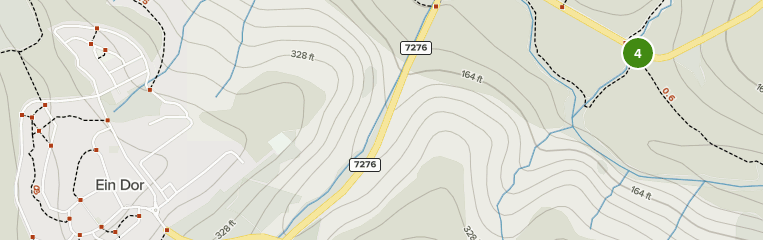 Best Forest Trails in Ein Dor | AllTrails