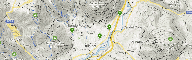 2023 Best Forest Trails in Albino | AllTrails
