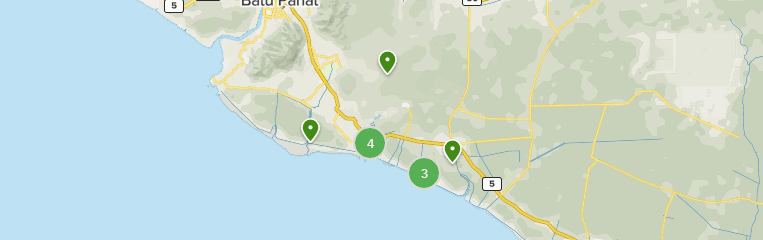 2023 Best 10 Wild Flowers Trails in Senggarang | AllTrails