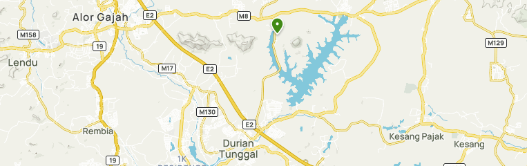Best Forest Trails in Durian Tunggal | AllTrails