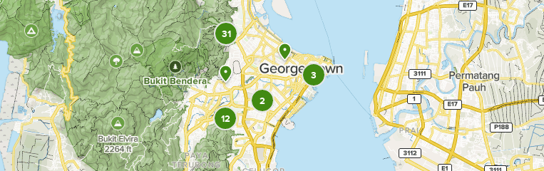 2023 Best 10 Forest Trails in Jelutong | AllTrails