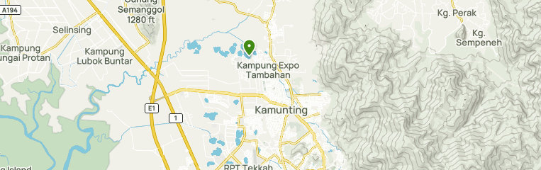 Best Forest Trails in Kamunting | AllTrails
