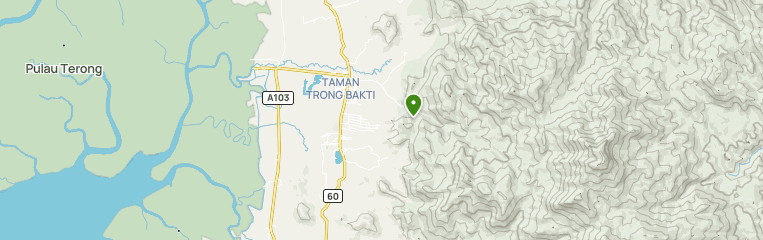 2023 Best Forest Trails in Trong | AllTrails