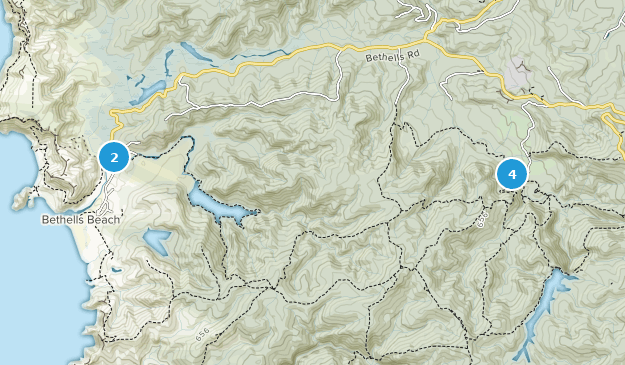 Best Walking Trails near Henderson, Auckland New Zealand | AllTrails