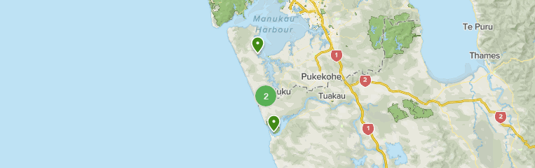 Best Forest Trails in Waiuku | AllTrails