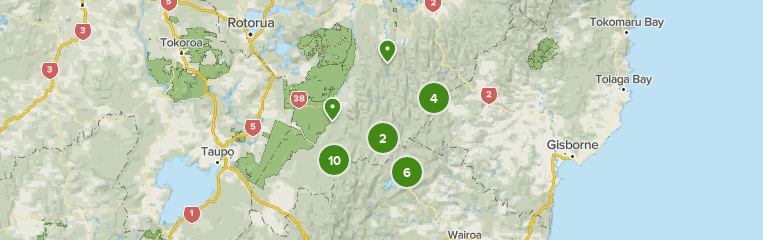 2023 Best 10 River Trails in Murupara | AllTrails