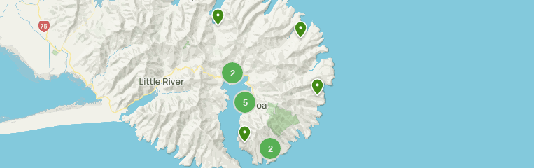 10 Best Beach Trails in Akaroa | AllTrails