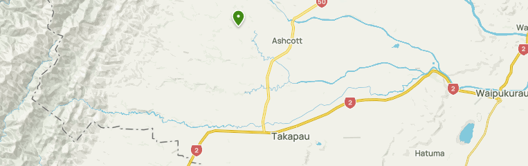 Best Forest Trails in Takapau | AllTrails