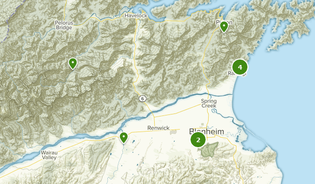 Best Forest Trails near Blenheim, Marlborough New Zealand | AllTrails