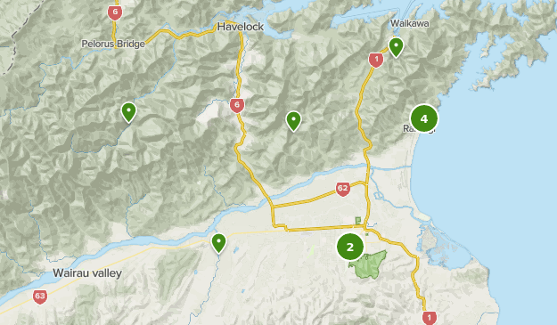 Best Forest Trails near Blenheim, Marlborough New Zealand | AllTrails