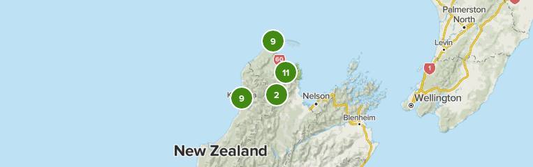 Best 10 Easy Trails in Collingwood | AllTrails