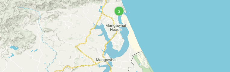 Best Beach Trails in Mangawhai | AllTrails