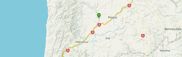 2023 Best Forest Trails in Mahoenui | AllTrails