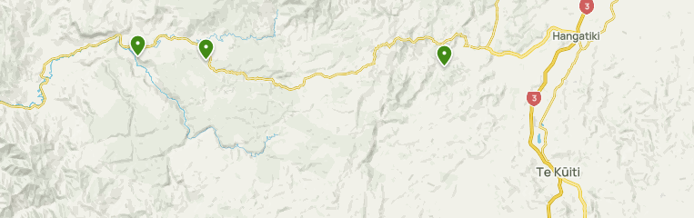 Best Kid Friendly Trails in Te Anga | AllTrails