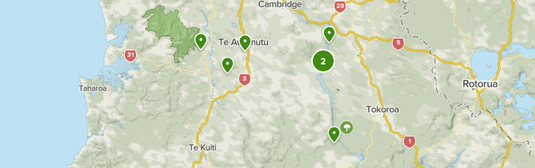 Best Mountain Biking Trails in Te Awamutu | AllTrails
