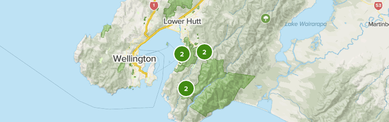 Best 10 Easy Trails in Wainuiomata | AllTrails