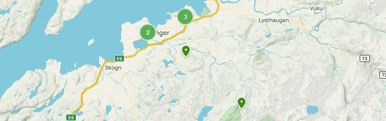 Best Forest Trails in Levanger | AllTrails