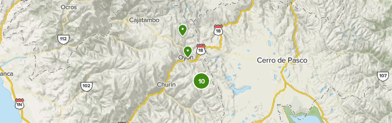 Las 10 mejores rutas para ver flores silvestres en Oyon | AllTrails