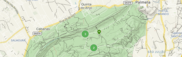 2023 Best Forest Trails in Quinta do Anjo | AllTrails