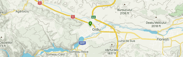 Best Camping Trails in Gilău | AllTrails