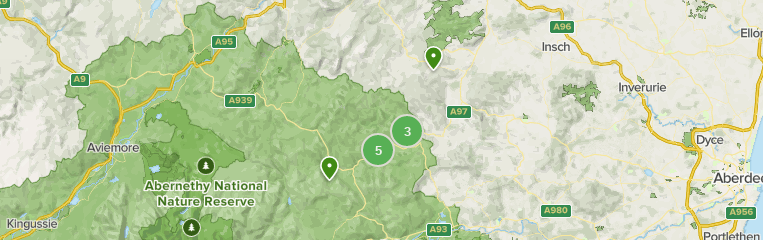 2023 Best 10 Forest Trails in Strathdon | AllTrails