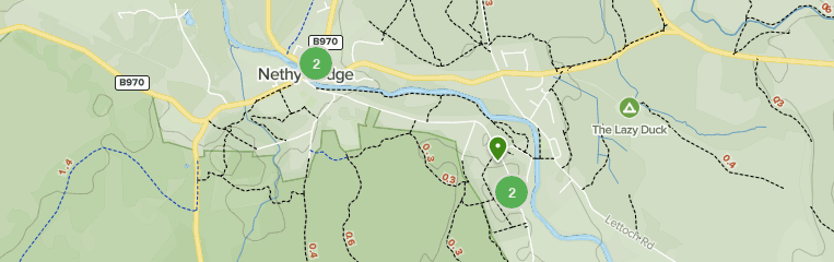 Best Forest Trails in Nethy Bridge | AllTrails