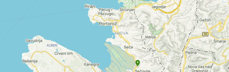 2023 Best Bike Touring Trails in Piran | AllTrails