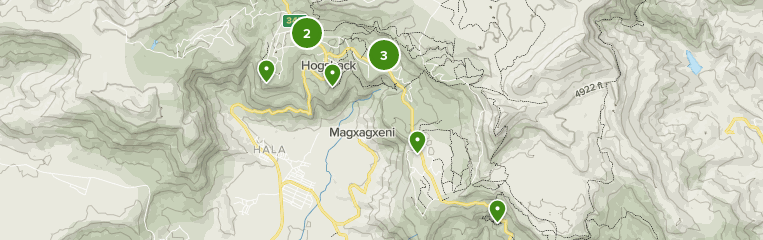 2023 Best Forest Trails in Hogsback | AllTrails