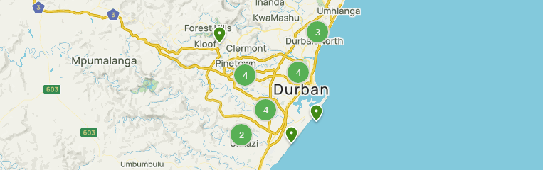 10 Best Forest Trails in Durban | AllTrails