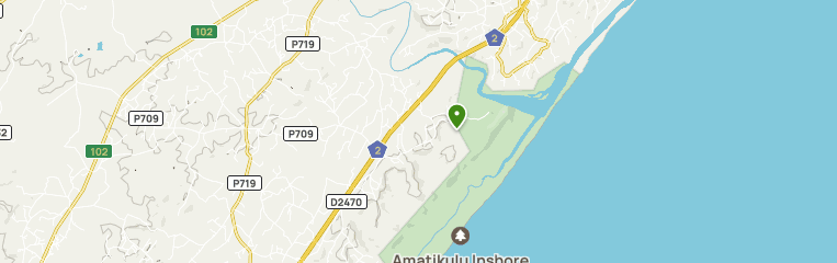 Best Forest Trails in Macambini | AllTrails