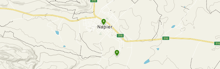 Best Walking Trails in Napier | AllTrails
