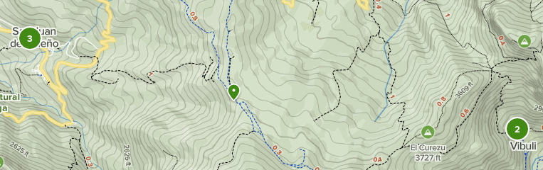 Best Forest Trails in Ponga | AllTrails