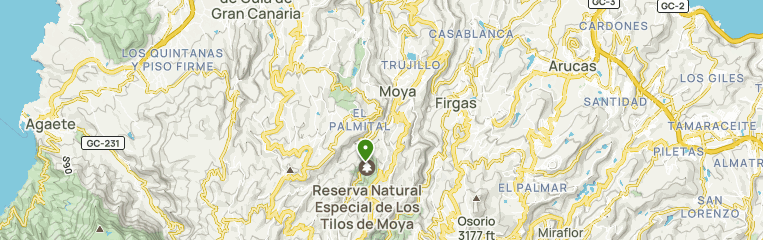 Best Walking Trails in Moya | AllTrails