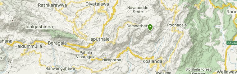 Best Forest Trails in Haputale | AllTrails